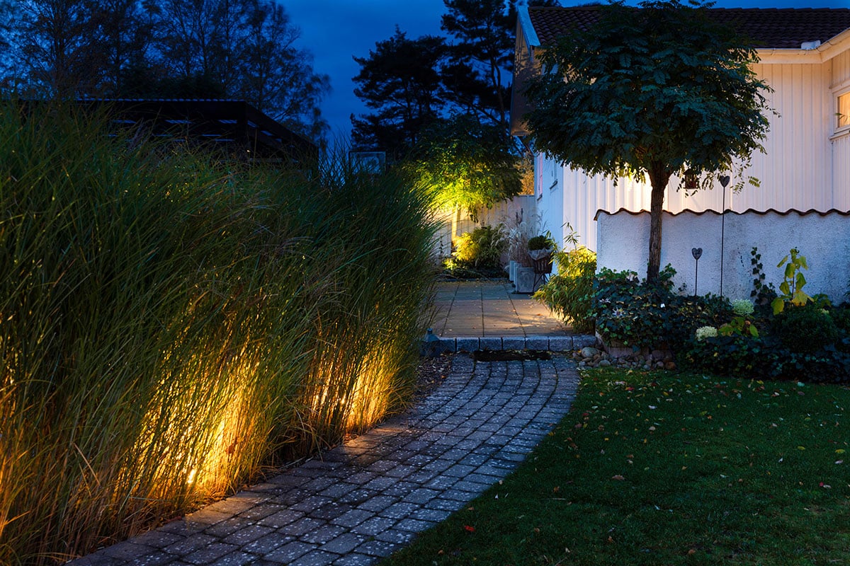 Trädgårdsdesignern: Så lyckas du med utebelysningen - Hus & Hem