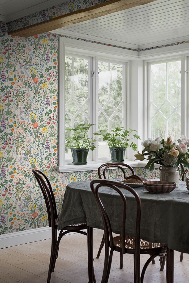 Lyckas med doftpelargonen Dr Westerlund – 5 viktiga skötseltips - Hus & Hem