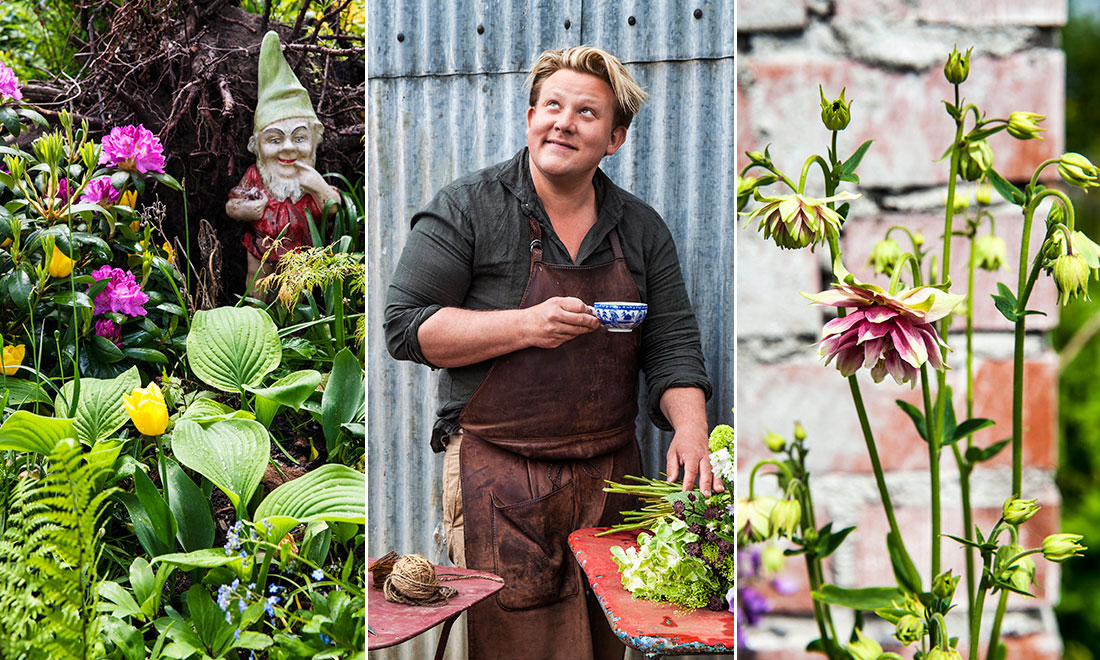 Skapa en sagoskog i trädgården – Karl Fredriks bästa tips - Hus & Hem