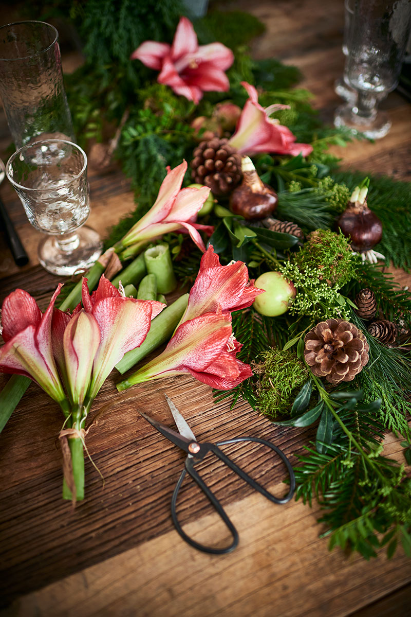 Populära julblommor 2023 - Hus & Hem