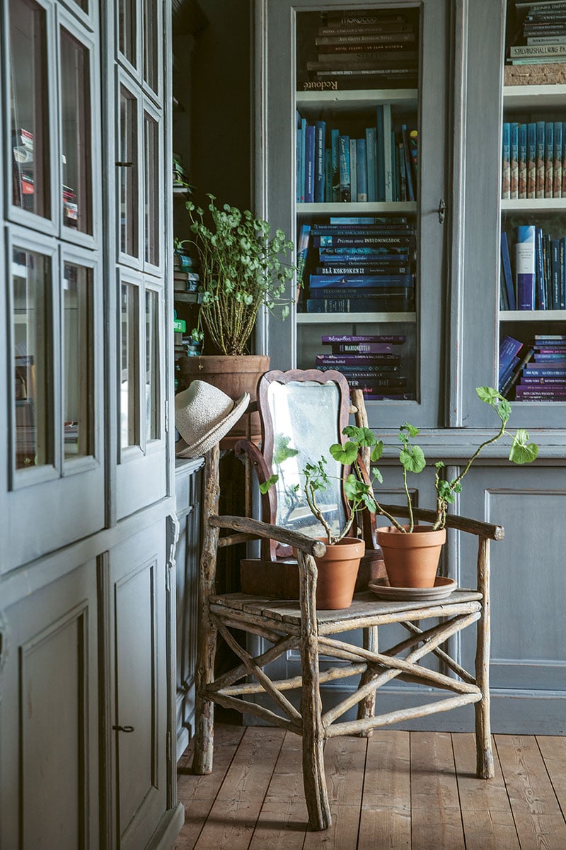 Karl Fredriks tips för att lyckas med pelargoner: - Hus & Hem