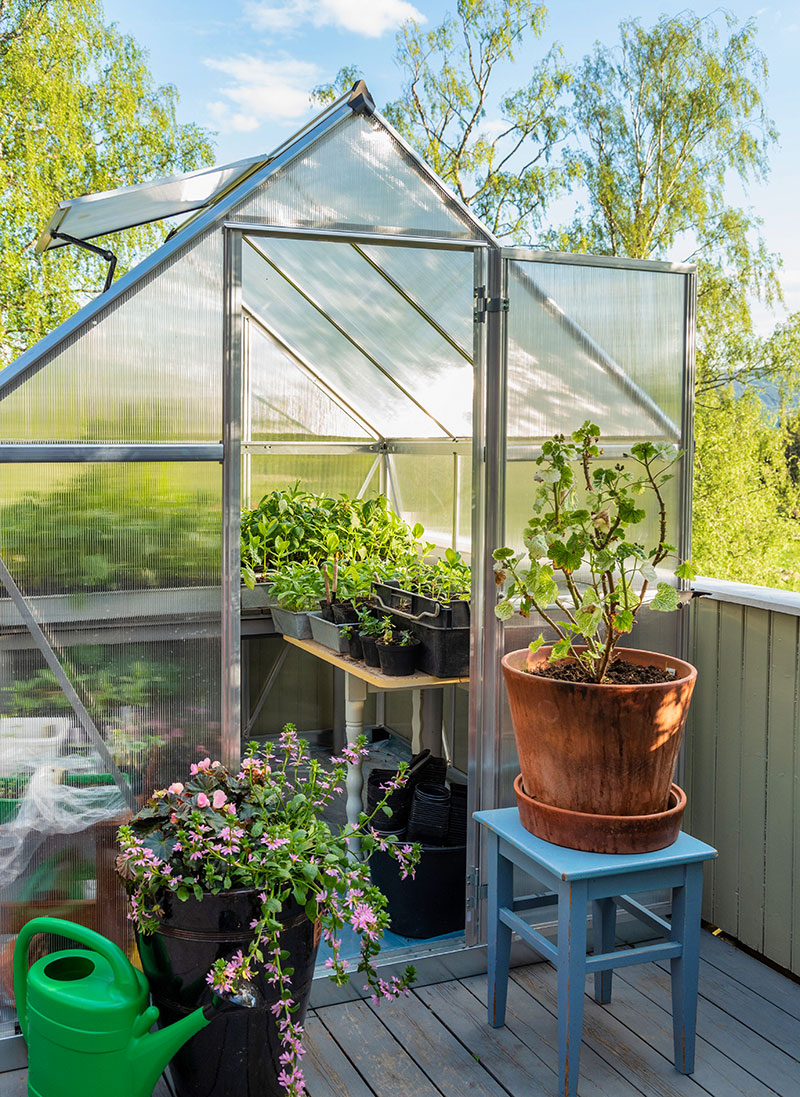 Plantera på friland – expertens smarta tips - Hus & Hem