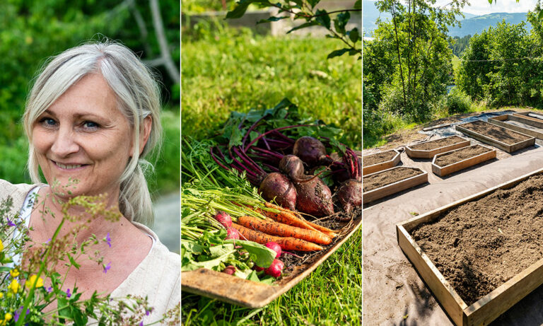 Odla grönsaker i pallkrage – expertens knep - Hus & Hem