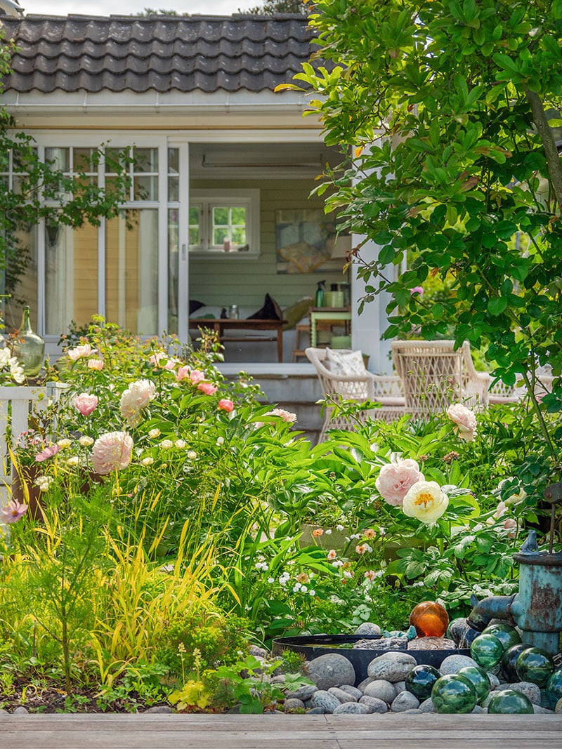 Kika in i trädgården med 130 sorters pioner: ”Är enkla att odla” - Hus ...