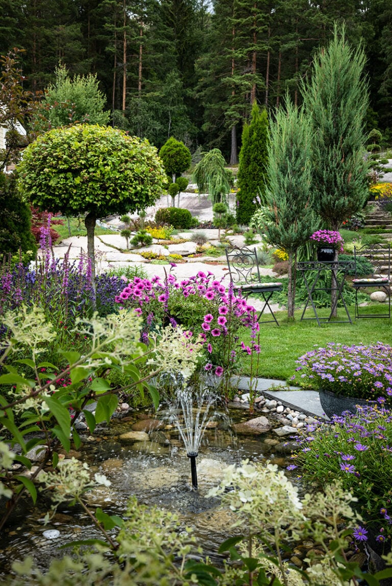 10 fina buskar och träd för trädgården - Hus & Hem